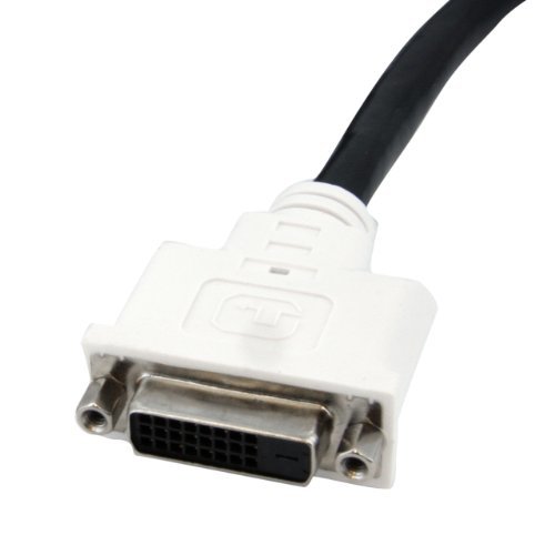 Startech DVIDDMM6 6 foot Male DVI-D Video Cable (Black) : www ...